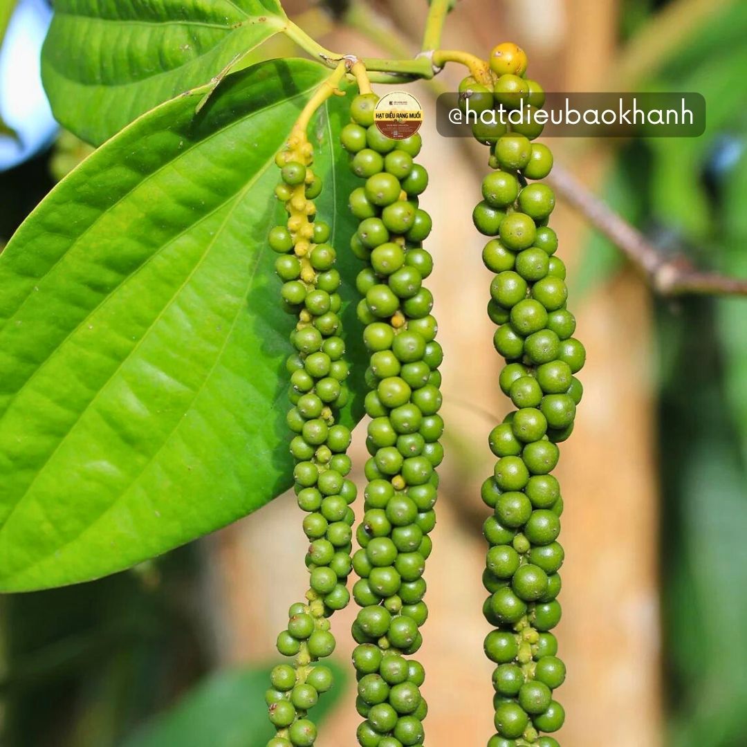 500G Tiêu Đen Nguyên Hạt Bình Phước, Tiêu Đen Cay Nồng, Chắc Hạt - Hạt ...