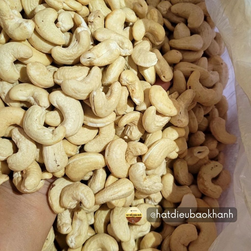 500G Hạt Điều Tươi/Sống Nguyên Hạt Loại A VIP (W180) - Hạt Điều Bảo Khánh